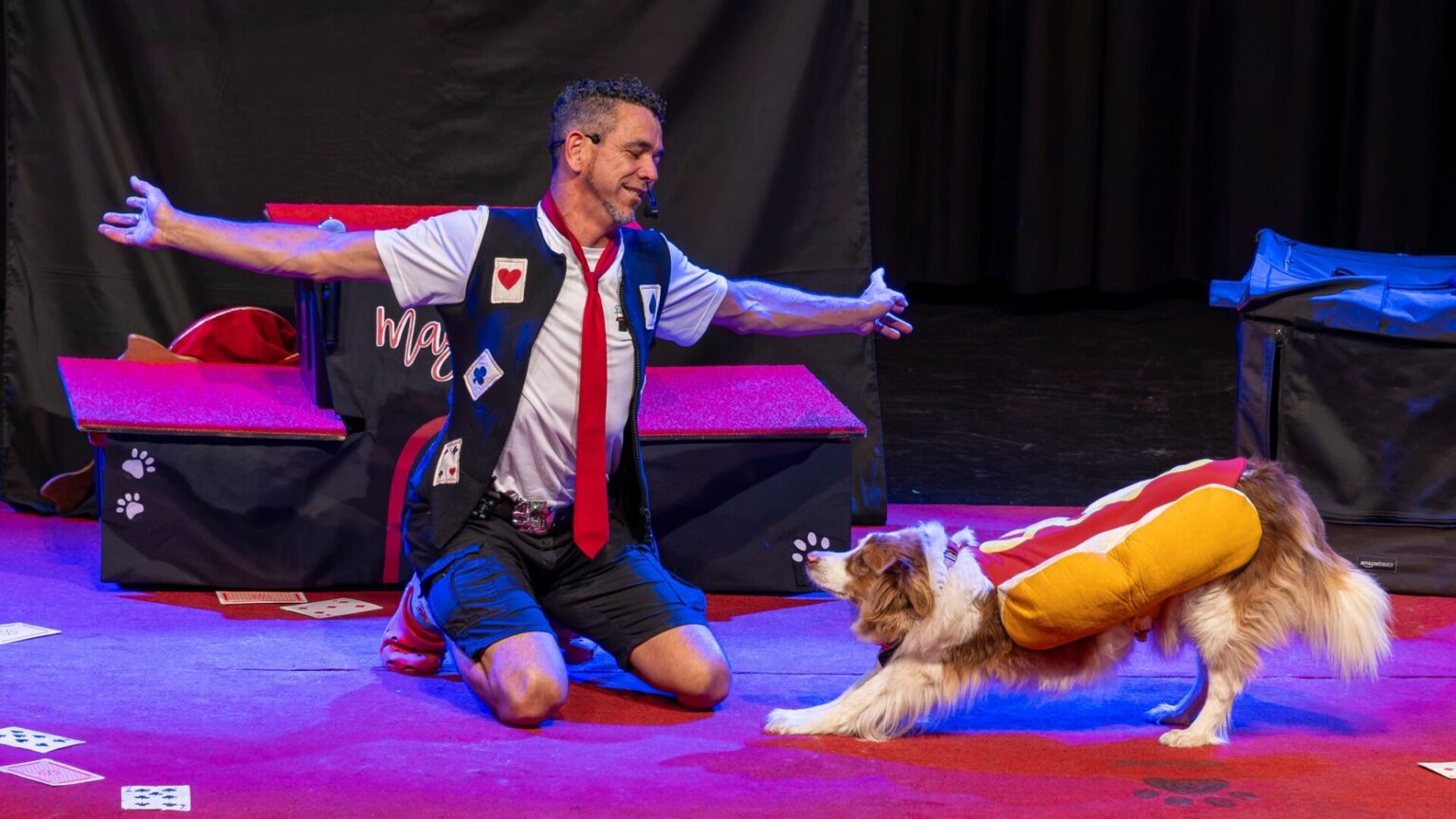 Le magie-chien Yan Beauregard rayonne dans les Maritimes avec la ...